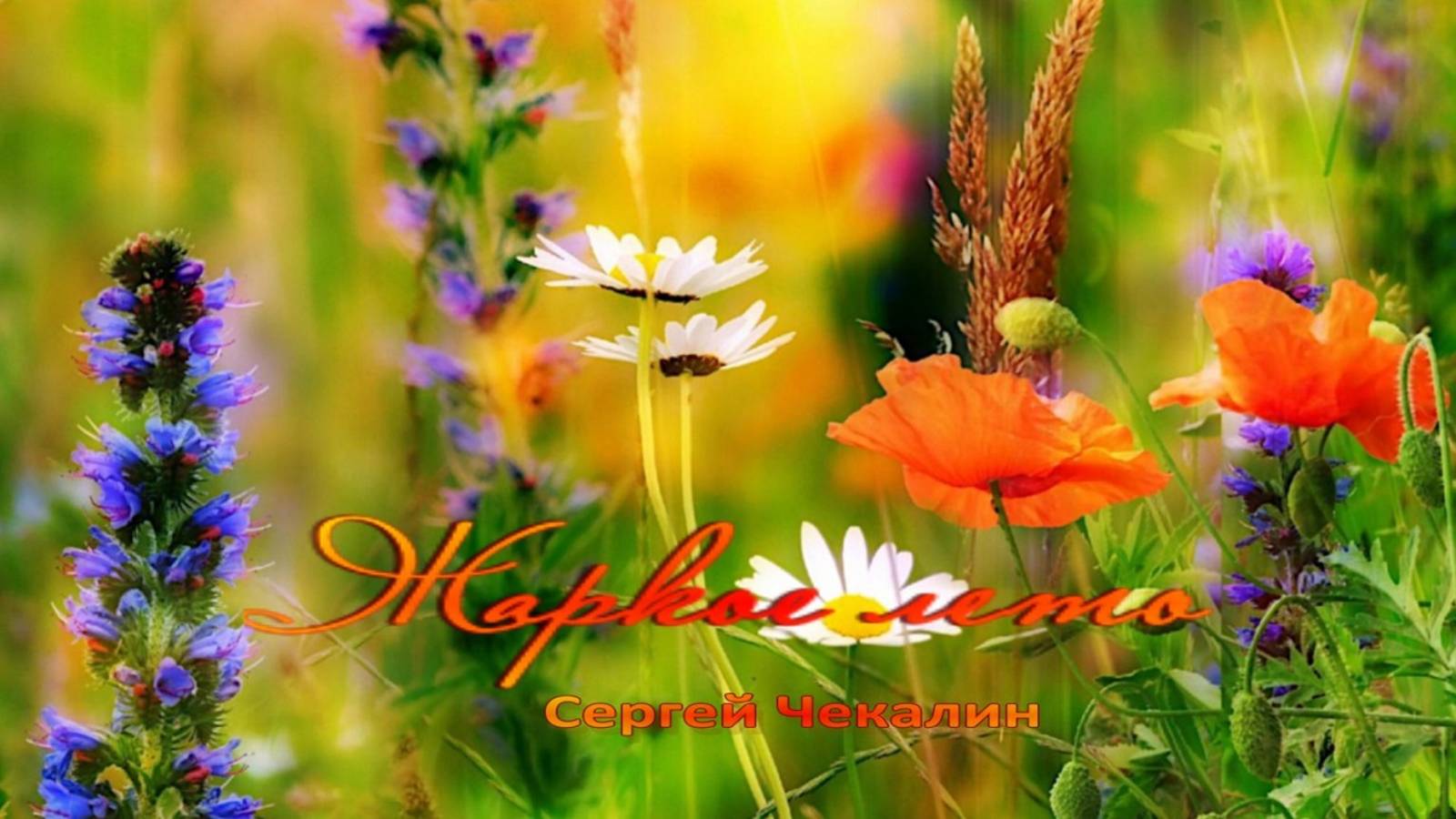 Сергей Чекалин - ЖАРКОЕ ЛЕТО… Музыка, которая дарит радость, тепло и покой!