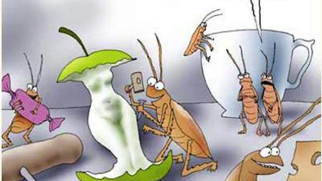 Тараканий шведский стол.