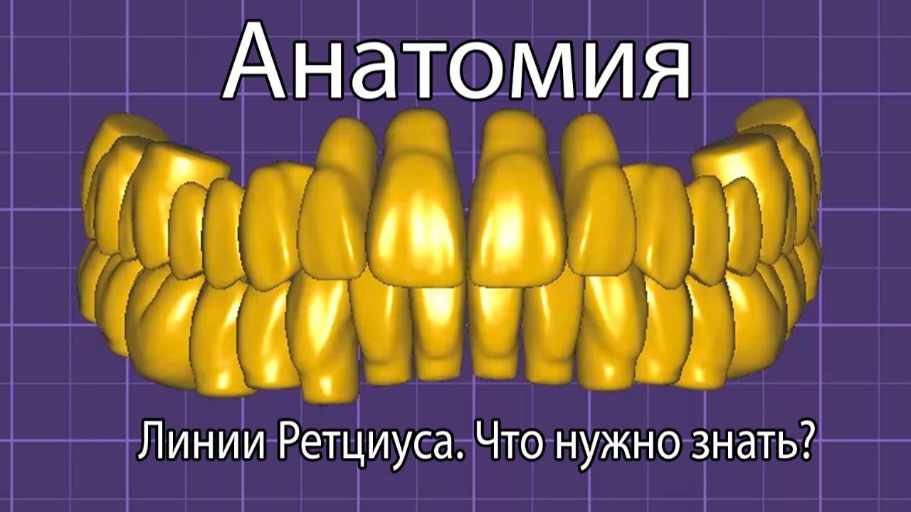 Линии Ретциуса. Что нужно знать?