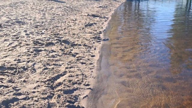 Öjaren, озеро в Швеции, прогулка по пляжу. Чистая теплая водичка 25 градусов.