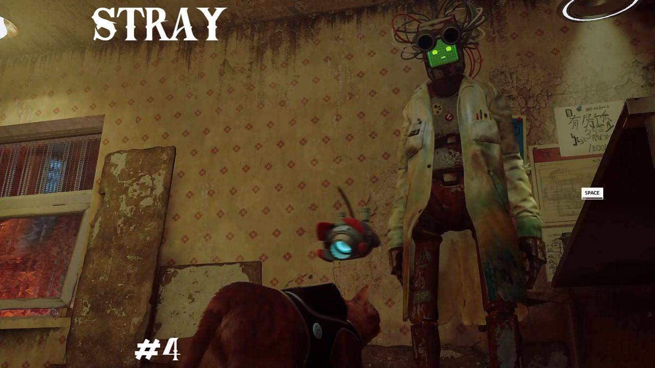 Спасение Дока | Stray | #4