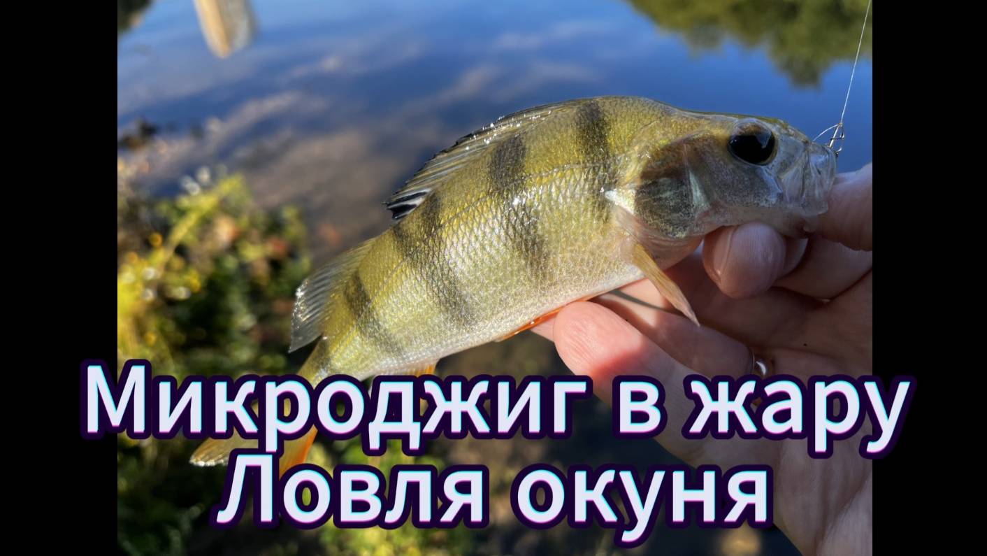 Ловля окуня в жару. Рыбалка ультралайт