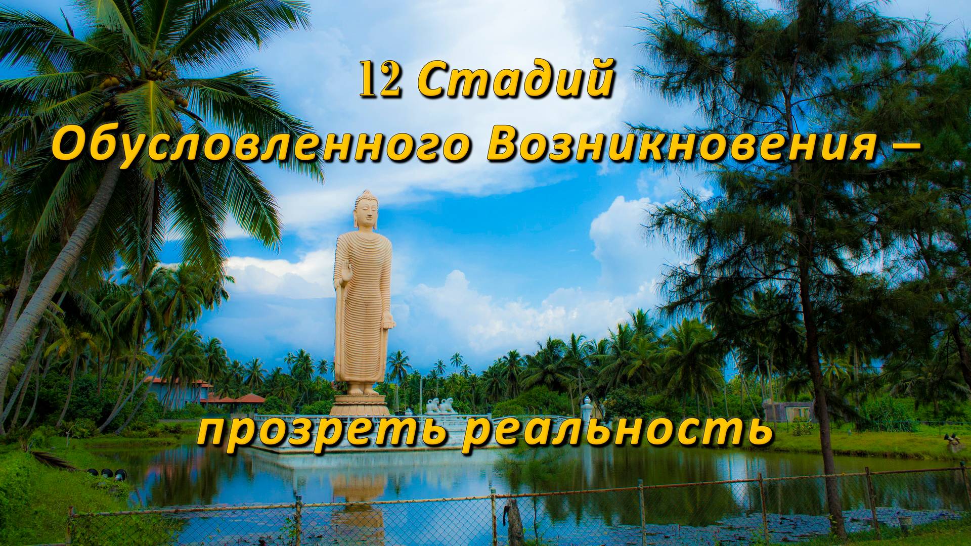 12 Стадий Обусловленного Возникновения – прозреть реальность