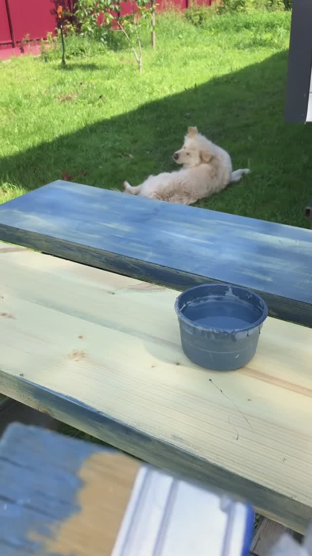 Мастерим крыльцо с Ричиком и Альфушкой