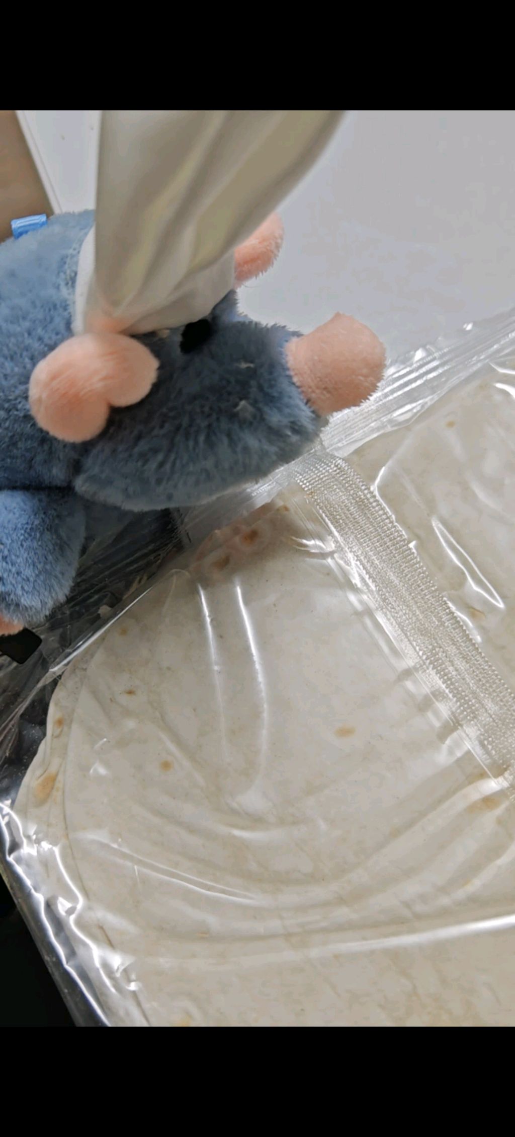 Готовим с Реми #пп #ппчебуреки #ппрецепты #рецепты #стрим #впрямомэфире ужин #забавное #лайф