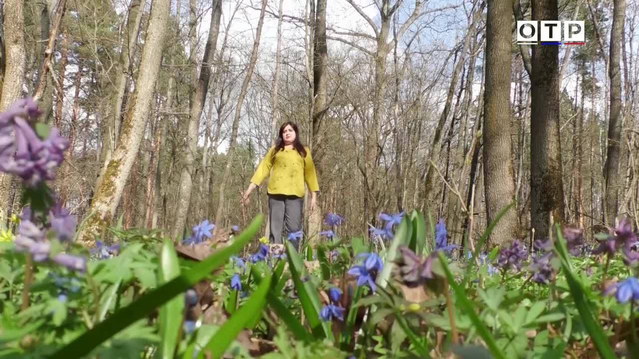 Костёр, голоса и идолы: кто за нами наблюдает из тьмы?