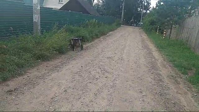 Байкал из Новосибирска