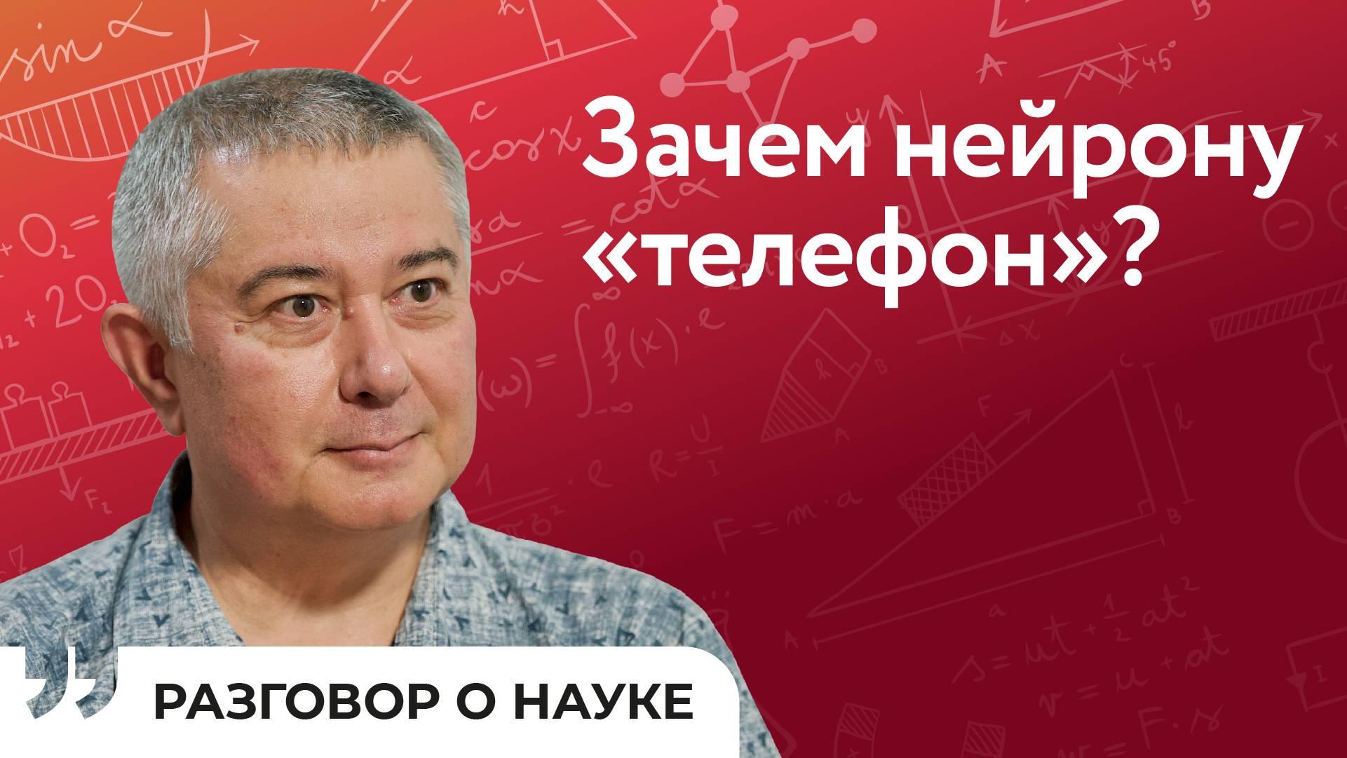 Нейрон «на связи»: как развивается и работает мозг? | Рустем Хазипов | Разговор о науке