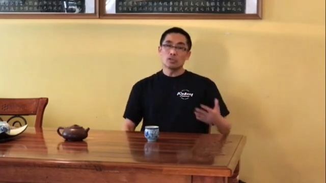 Хай Ян Уроки Синъи (проект «Возвращение китайской практики») на русском языке-10