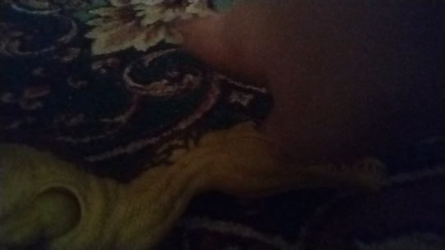 ЗУХАМИМУС ПРОТИВ ТАРБОЗАВРА #7