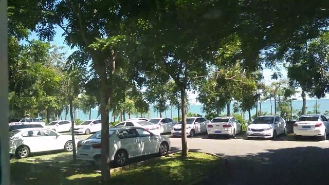 Мимо пляжей и зелёных пальм на автобусе!