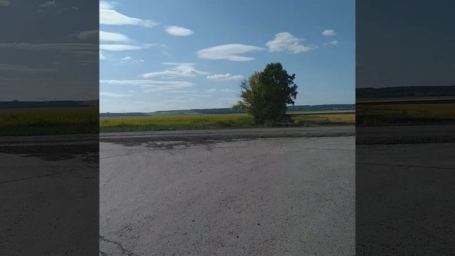 перезагрузка 2 часа прогулки в лес в гору