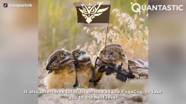 На тему птичьи фантазии.