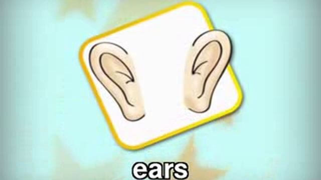 My Face lesson 1 - English for Children Nursery Rhymes - English lively songs and chants