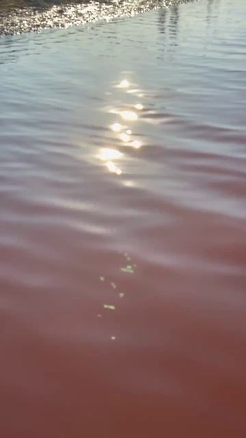 Озеро Сакское