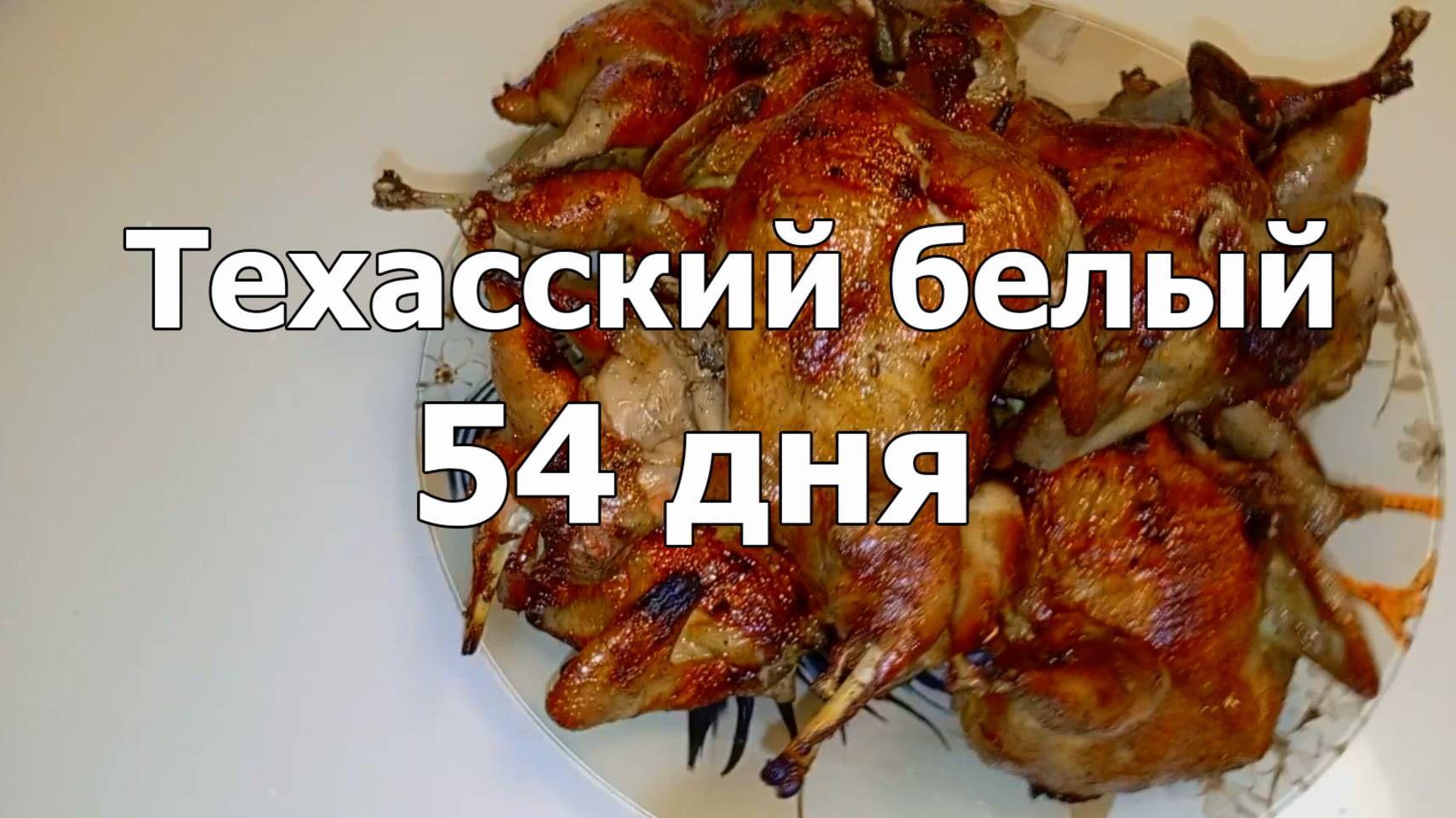 Техасский белый перепел  Убираем всех самцов на мясо 54 дня.  Шашлык их перепелки. Таблица привесов