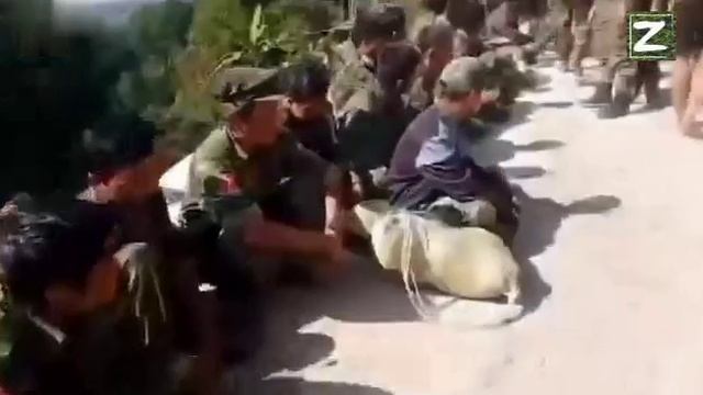 Сотни солдат TNLA сдались плен  правительственным войскам (Мьянма)