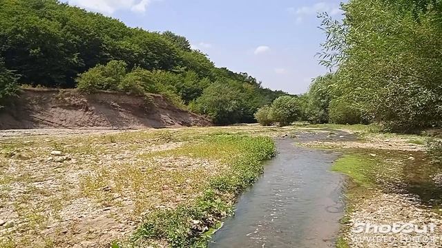 Отпуск начался с приключений!