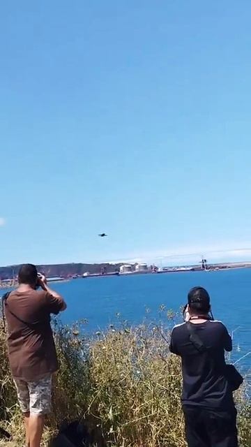 F/A-18 и его дикий маневр уклонения от птиц