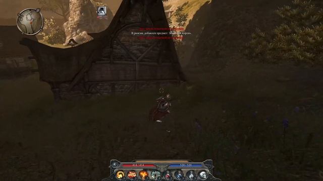 Divinity II: Developer's Cut: Маг земли и его тролли, серия 20