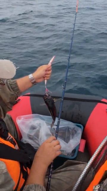 Сахалин. Морская рыбалка с гостями острова. #fishing #рыбалка #морская