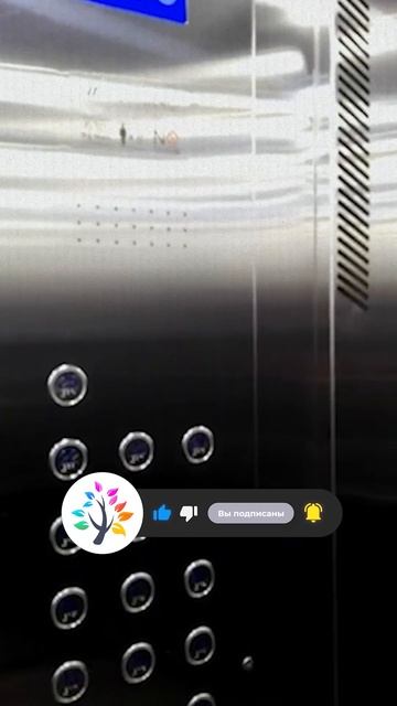 Прыжок в падающем лифте — выживешь? 🤔