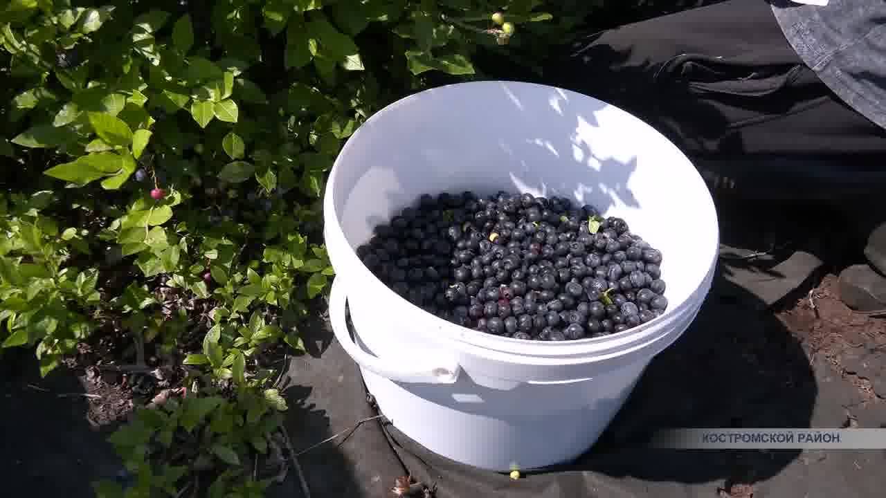 Развиваться помогает область