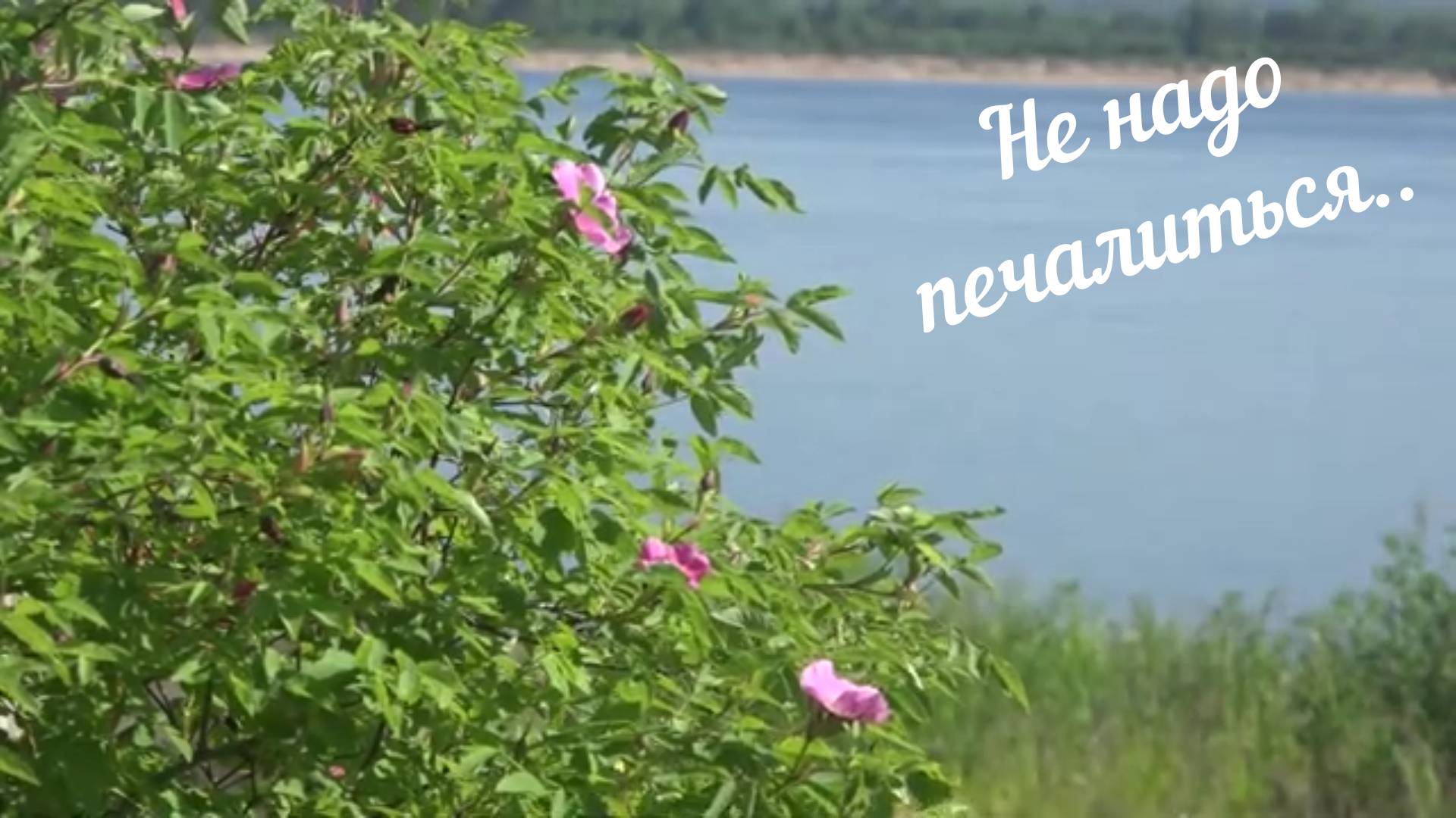 "Не надо печалиться"... кавер