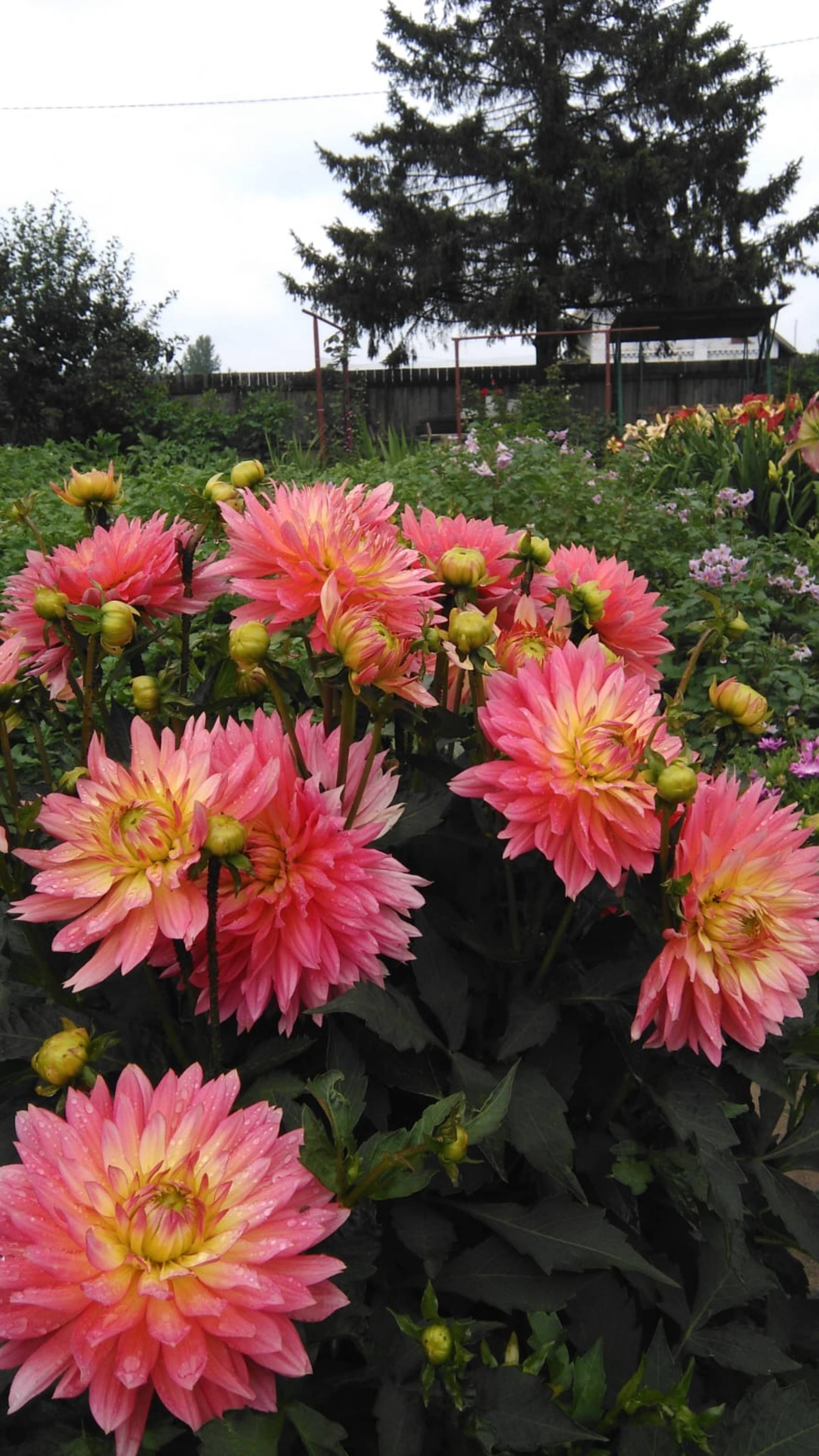 Вкусные хлопоты)))