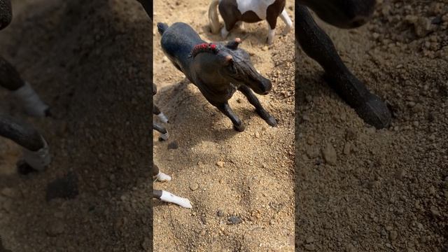 10часть сериала « Секрет новенького «🧐🐎