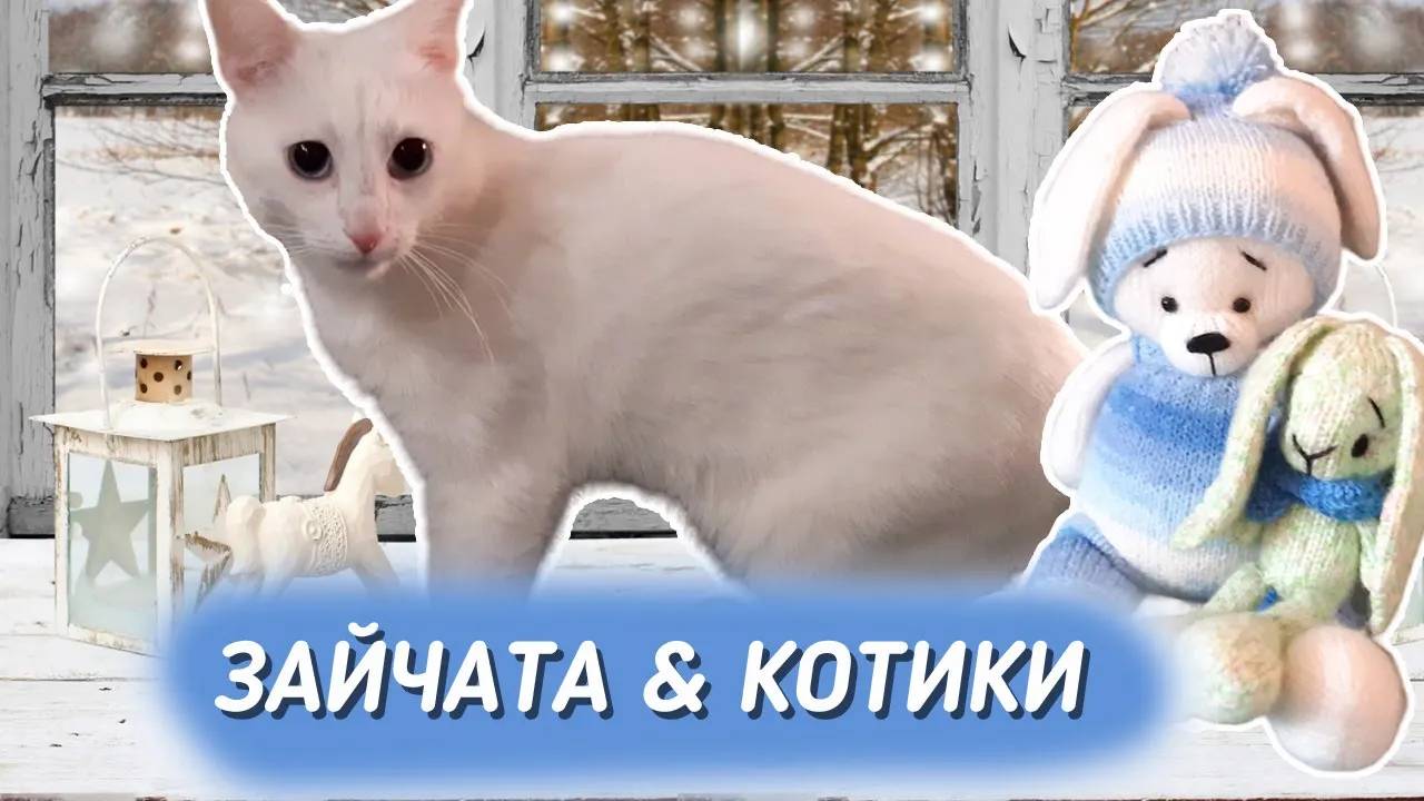 Могут ли дружить вязаные зайчата и котики? 😺🐰