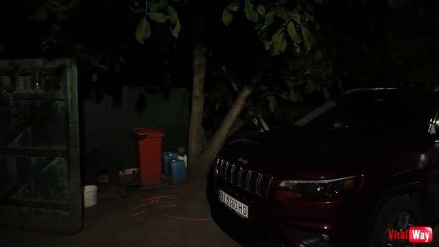 Ночь в Молодёжном