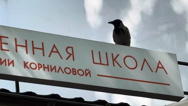 Наш новый администратор