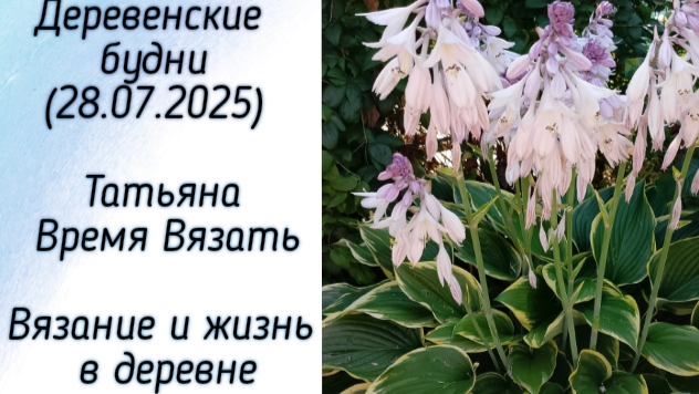 Рецепт быстрых,молосольных огурчиков в пакете🥒🧄Прогулка по участку🏡
