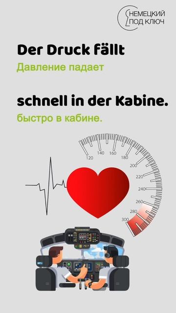 "Dalai Lama" Rammstein / Teil 7 / Немецкий по песням / Учите немецкий язык с удовольствием! #shorts