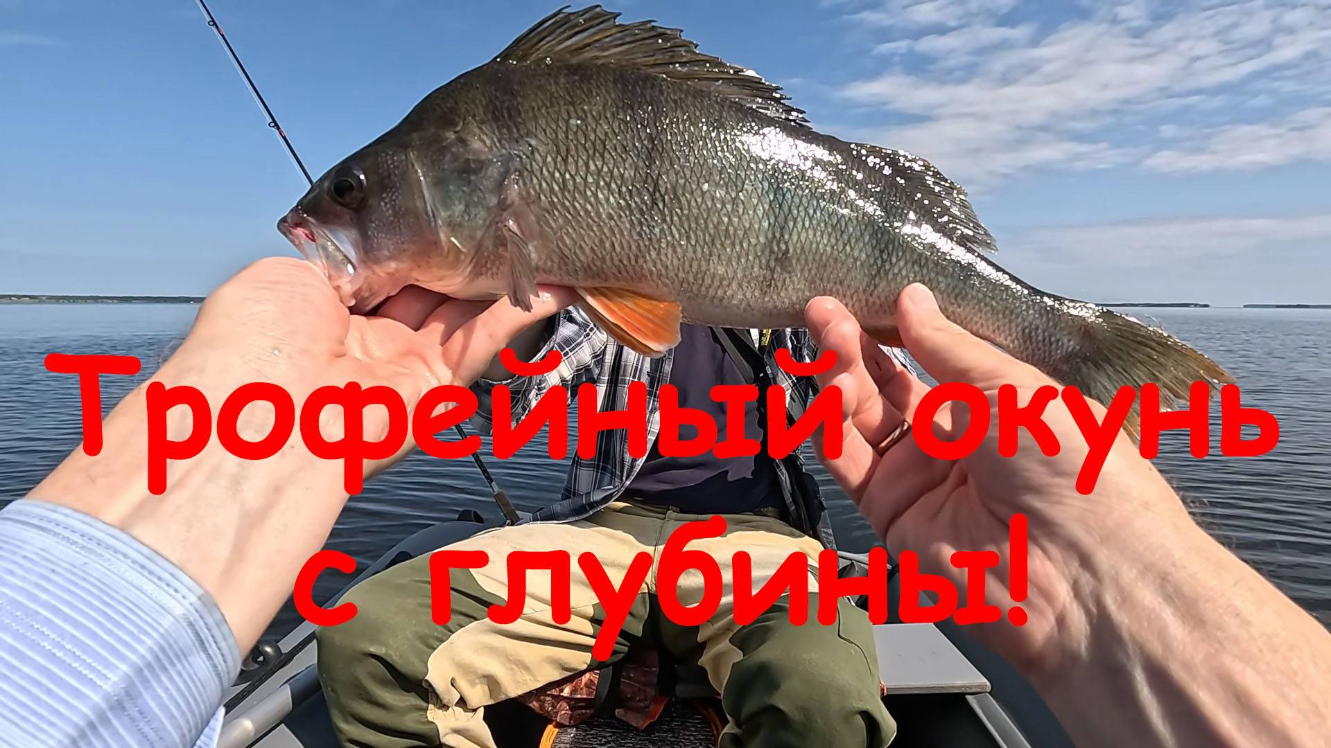 Трофейный окунь с глубины! Рыбалка на Горе Море.