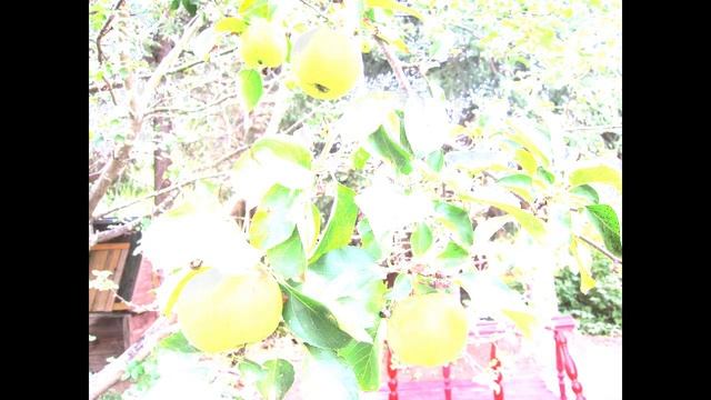 Осень запоздалая авторская песня стихи мелодия исп фото видео Татьяна Талызина муз Павел Голованев