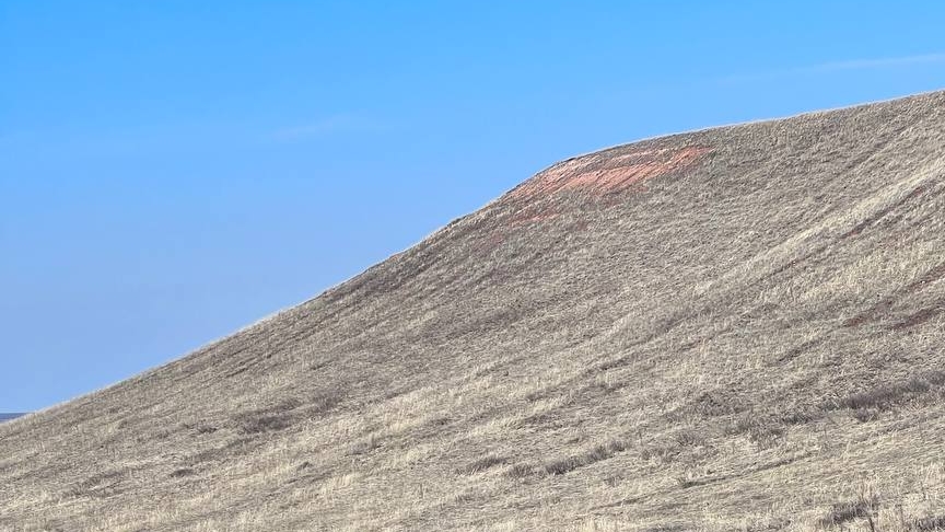 Прогулка по родным местам