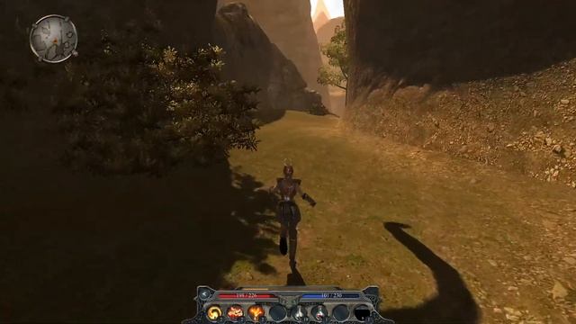 Divinity II: Developer's Cut: Собираем последних кроликов, серия 7