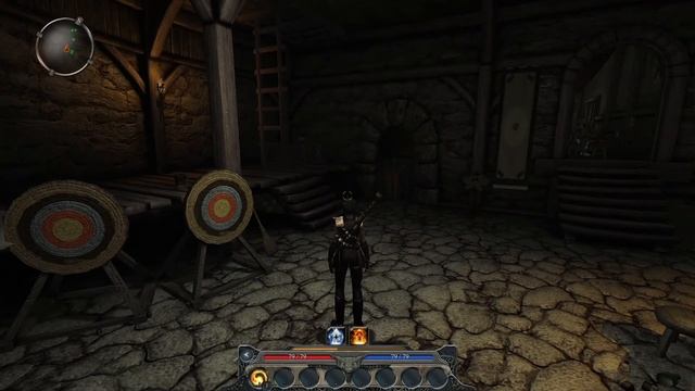 Divinity II: Developer's Cut: Пугливые стражники, серия 3