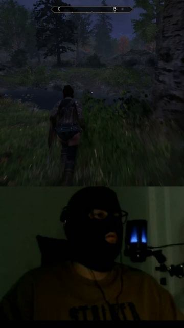 освободил овечек #oblivion #oblivionremastered