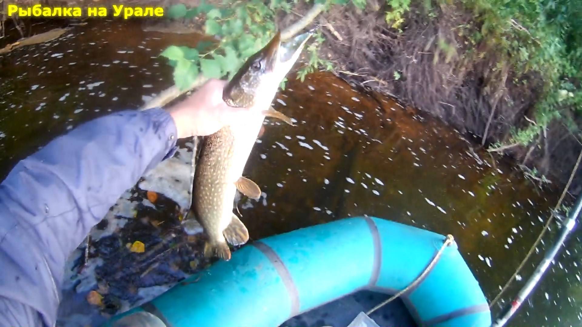 Рыбалка с лодки. Ловим щуку на спиннинг. Сплав по р.Каква