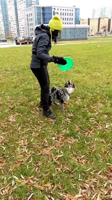 МАО Хара - каскад и совместные движения