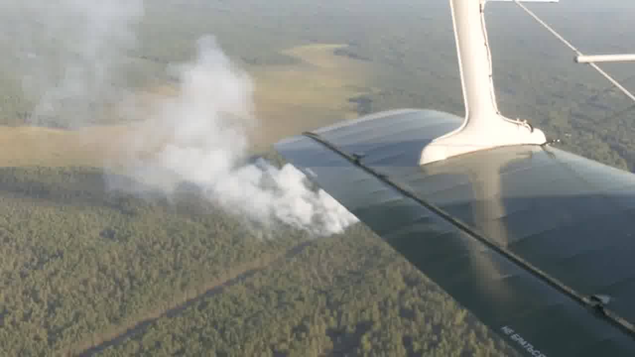 Сергей Ситников поручил усилить профилактику лесных пожаров