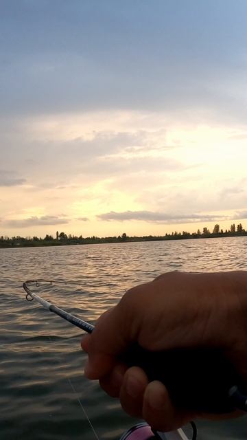 Судак на пассивную приманку 👍👍👍