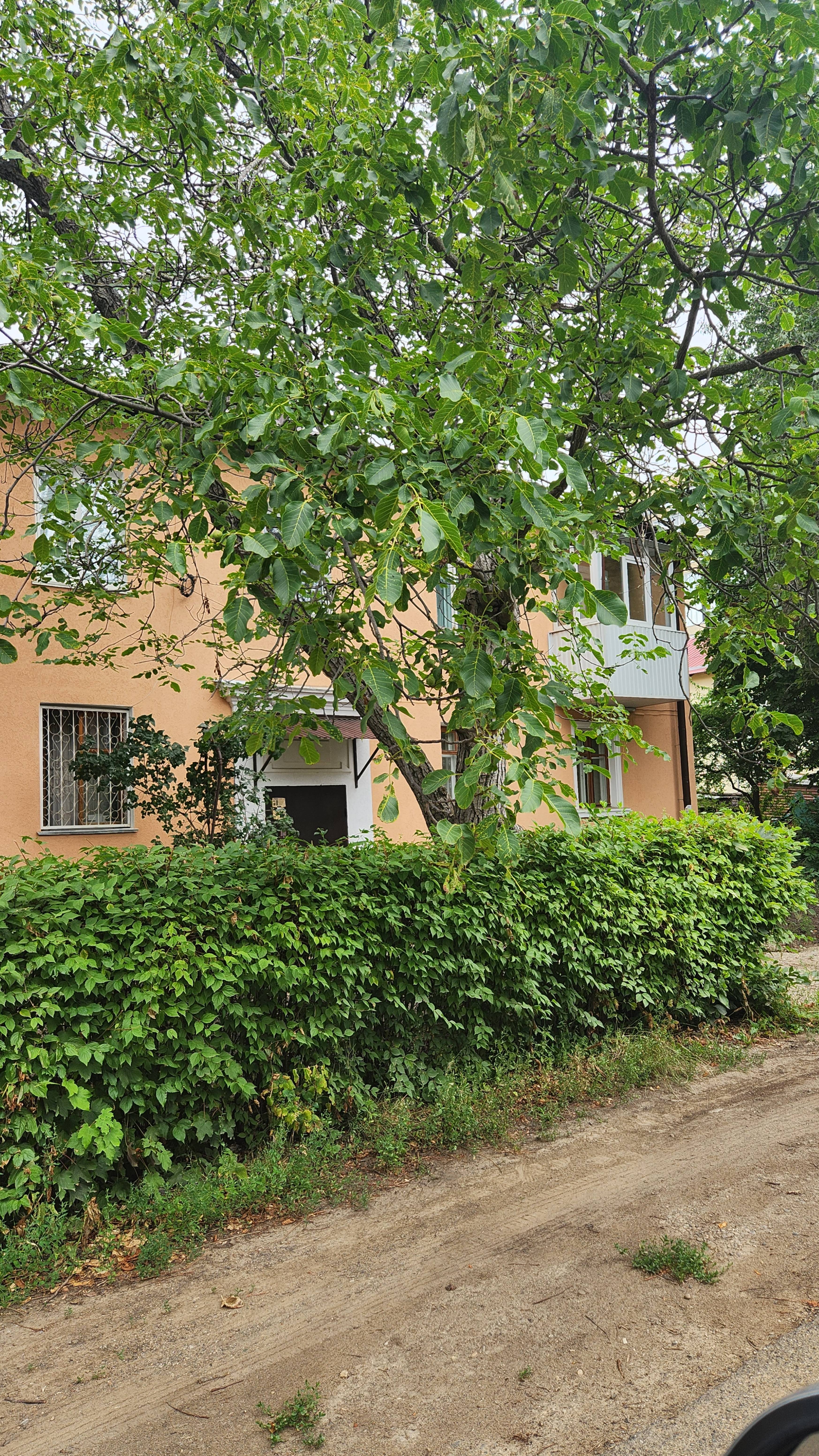 Центр города. Медакадемия. Аграрный университет.