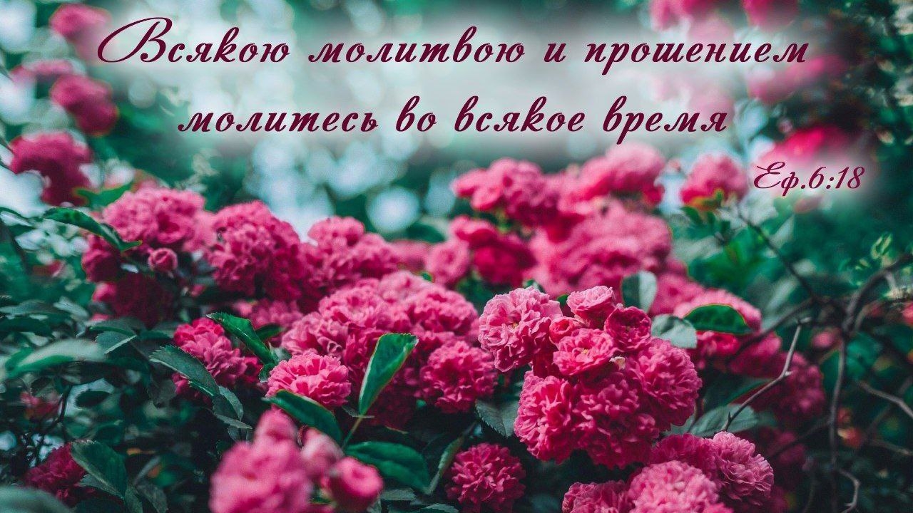 А ты, молись... | христианский стих