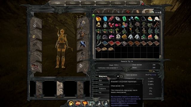 Divinity II: Developer's Cut: Первая встреча с Лаикеном, серия 10