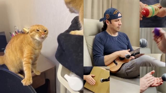 Awooawoooh! The Cat Song - The Singing Cat Catchy Tune