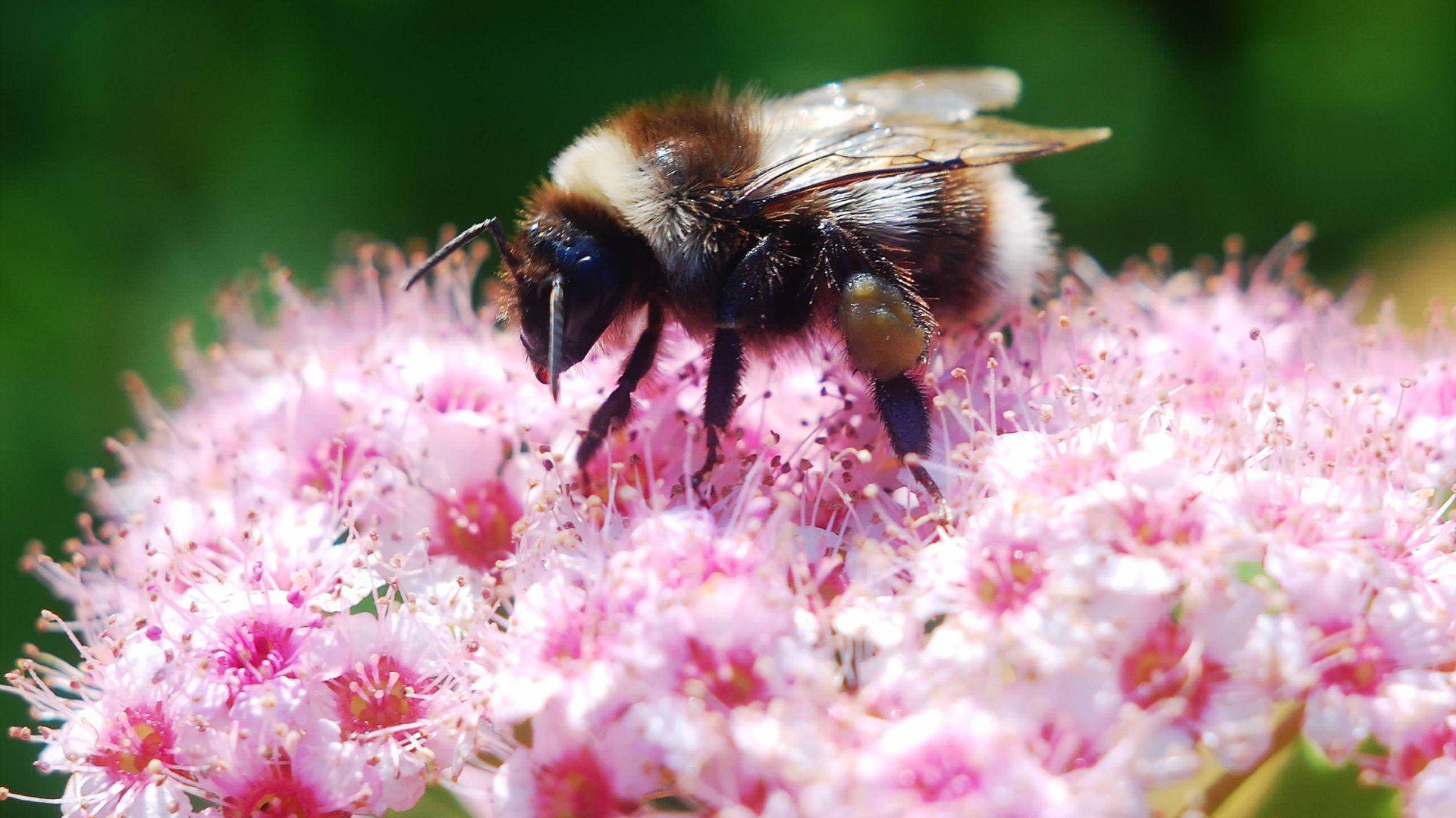 Съёмка на Nikon D40 с объктивом Юпитер 8